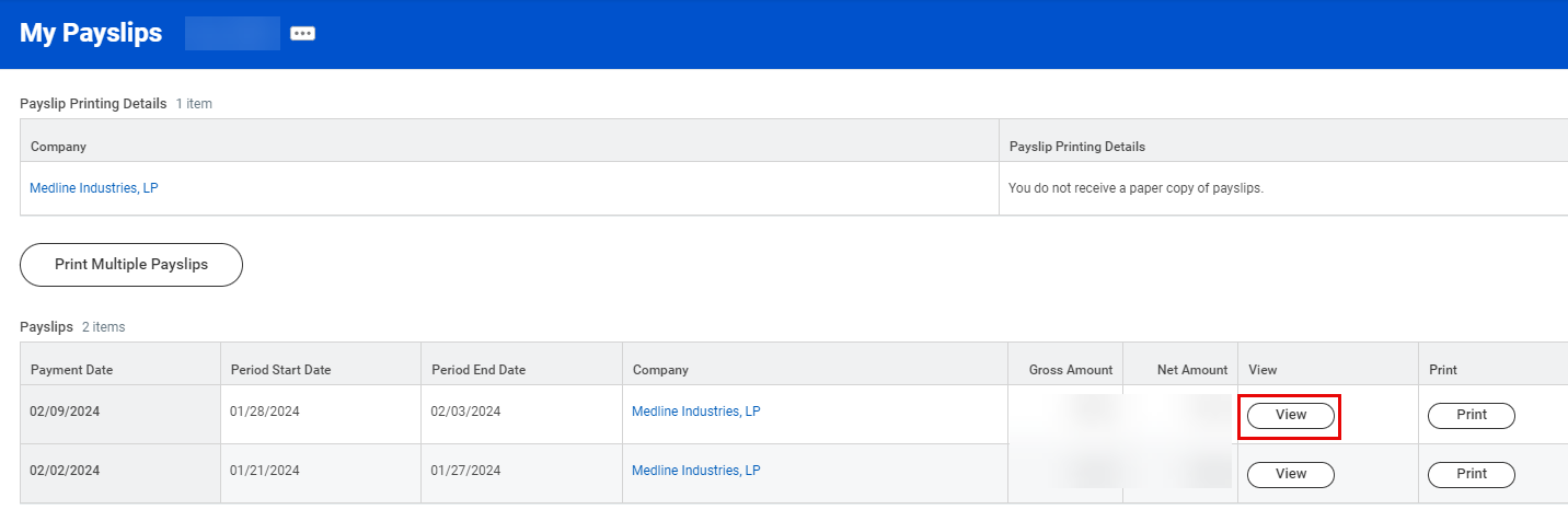 Managing Pay Information for Employees – Medline HR Help Center