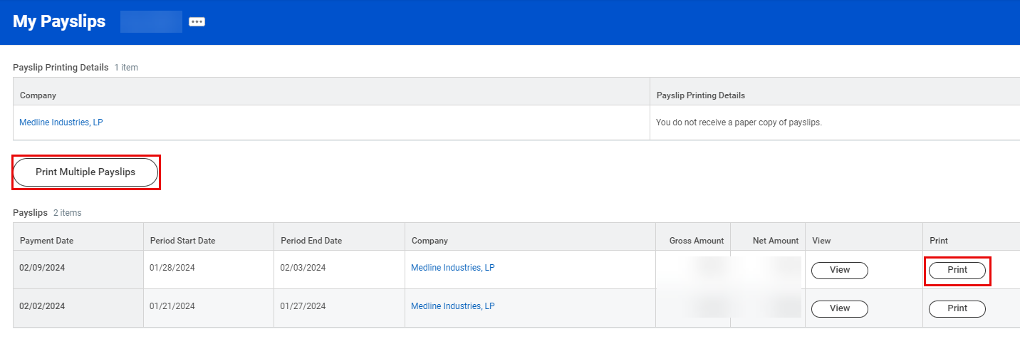 Accessing Pay Information - Payroll, HR, Benefits, Finance – Medline HR ...